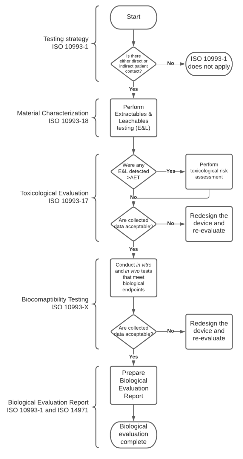 The Importance of BEP and BER - European Biomedical Institute